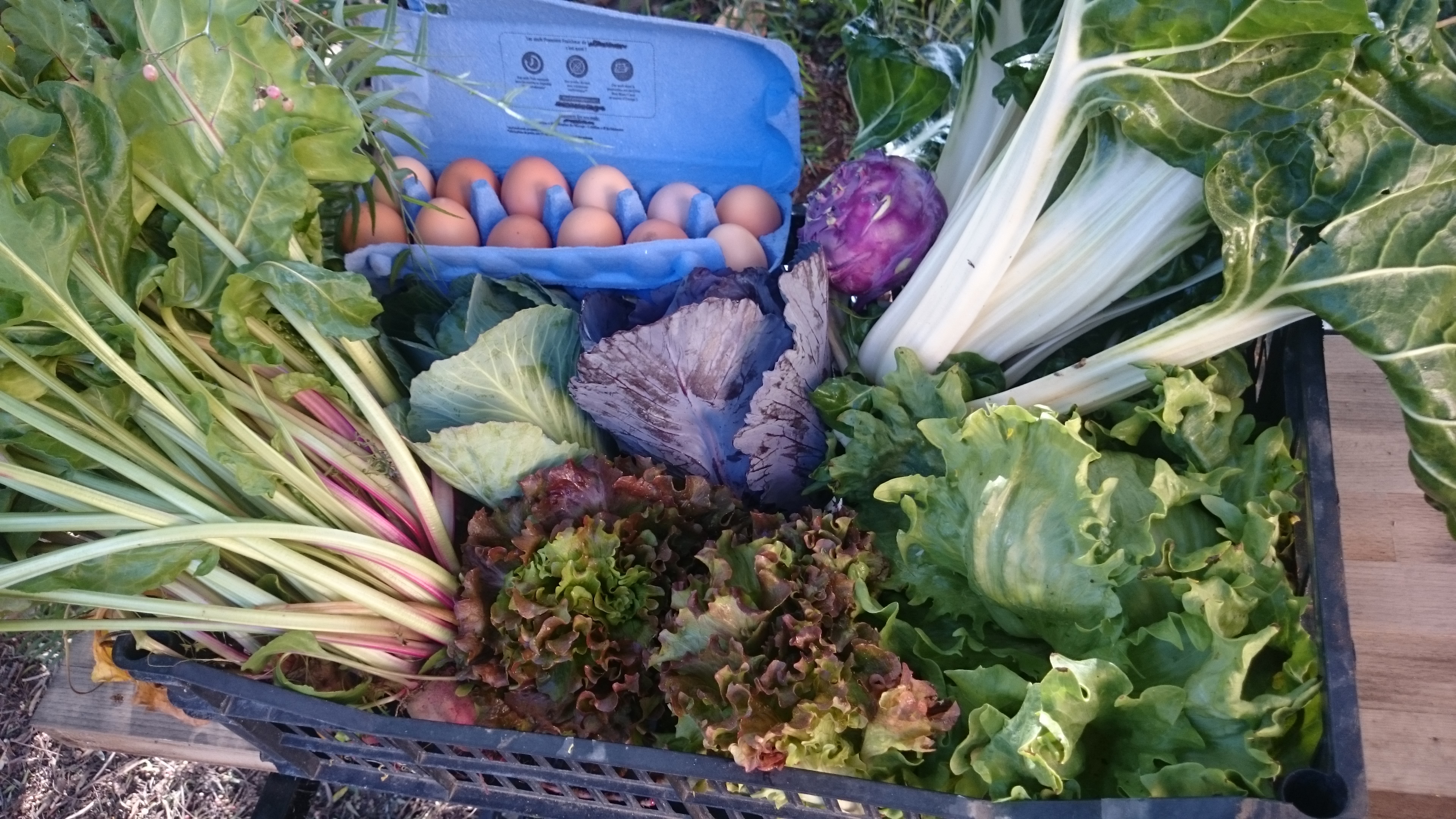 panier légumes – Producteur Fruits et Légumes 100% Naturels