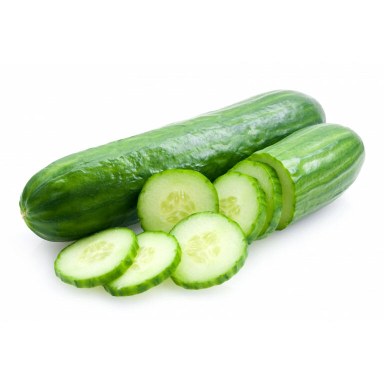 concombre lisse – Producteur Fruits et Légumes 100% Naturels